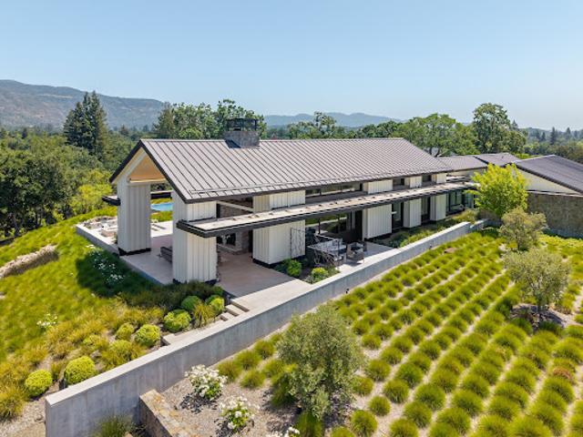 Vineyard