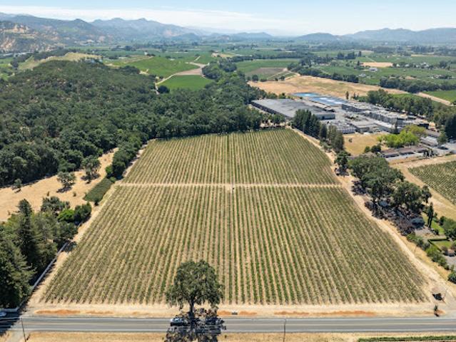 Vineyard