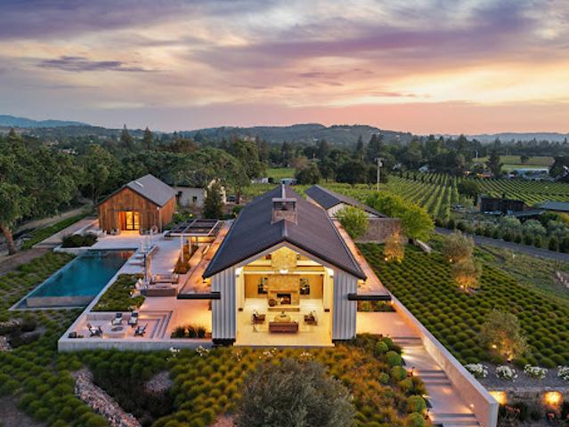 Vineyard