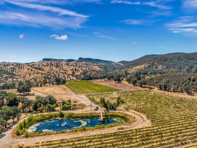 Vineyard with pool