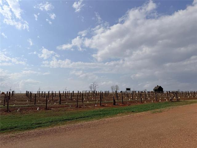 Vineyard Meadow Road