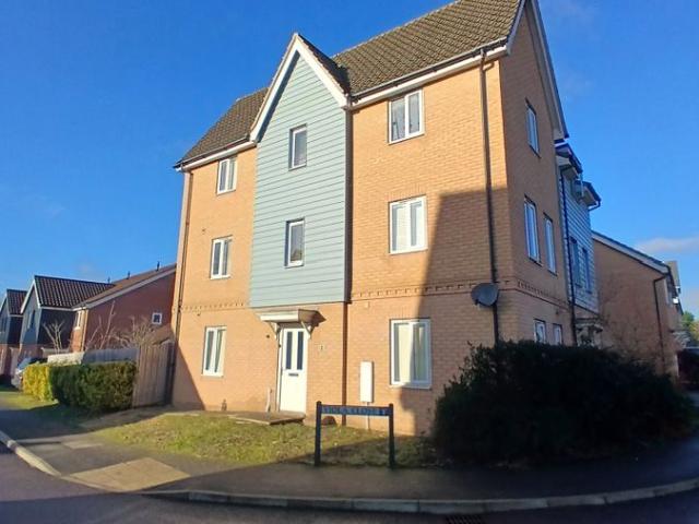 Viola Close, Cringleford, Norwich, Norfolk NR4, 4 bed semi detached house to rent, £2,000 pcm | PrimeLocation