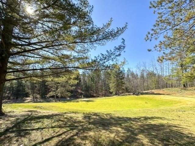 Viola Ln Unit 16, Spruce, MI 48762