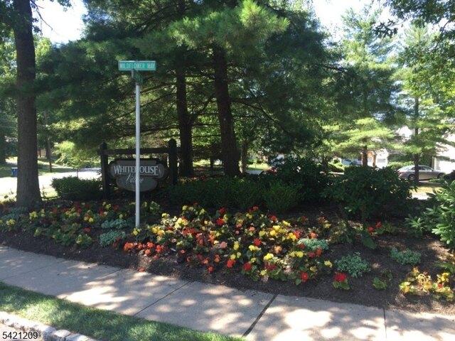 Violet Ct, Readington Twp, Condo For Sale