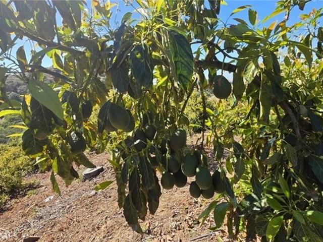 Via Barranca, Temecula, CA 92590