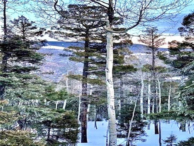 Via De Maria Lot 75, Angel Fire, NM 87710