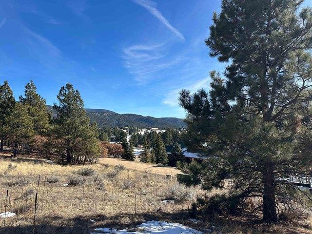 Via Del Rey Lot 769, Angel Fire, NM 87710
