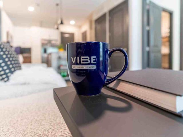 Vibe at Echo Street West 1 Bedroom Apartment for Rent at 750 Echo St Nw, Atlanta, GA 30318 English Avenue
