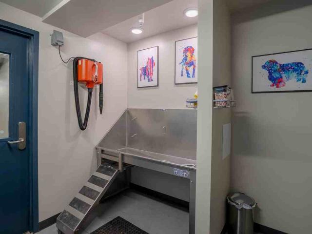 Victory on Leonard Studio Apartment for Rent at 900 Leonard St Nw, Grand Rapids, MI 49504 West Grand