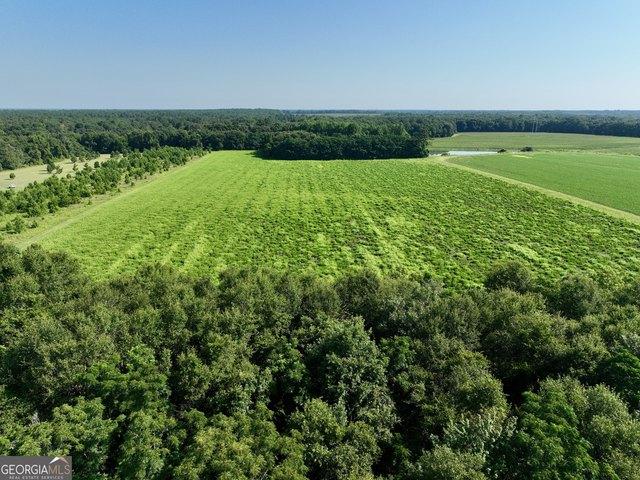 Vienna Hwy, Hawkinsville, GA 31036