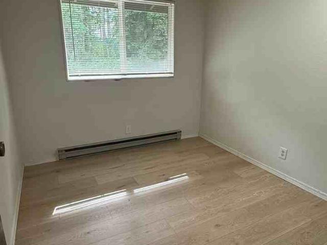 Viking Suites 1 Bedroom Apartment for Rent at 1471 Moore St, Bellingham, WA 98229 Puget