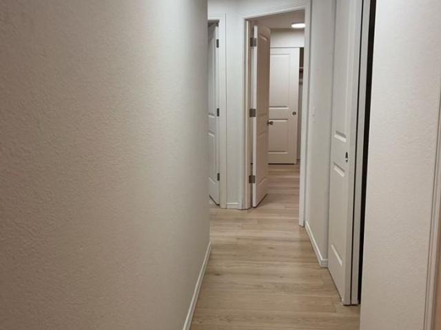 Viking Suites 3 Bedroom Apartment for Rent at 1471 Moore St, Bellingham, WA 98229 Puget