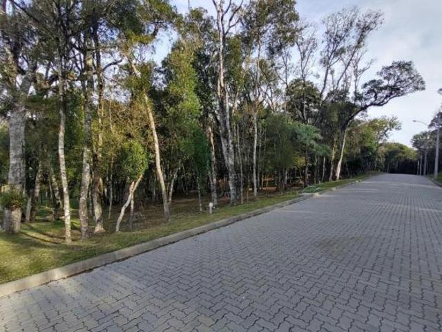VILA MARIANA