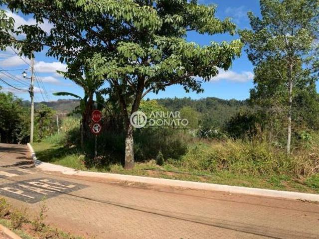 Vila Alpina Lote / Terreno à venda na Anuar Donato