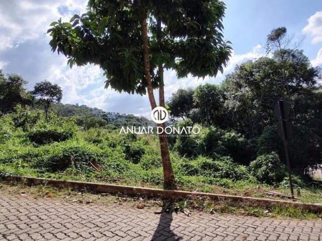 Vila Alpina Lote / Terreno à venda na Anuar Donato