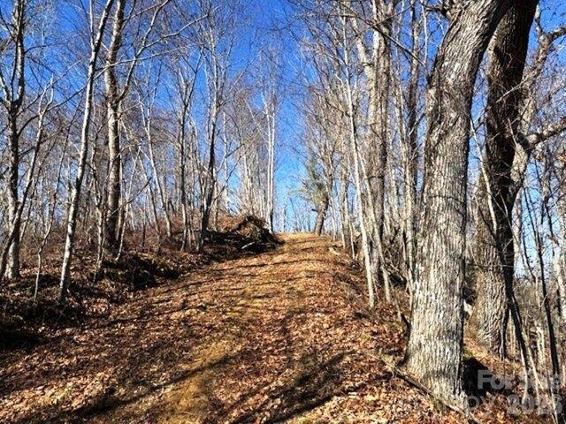 Vilas Overlook Dr Lot,vilas, Plot For Sale