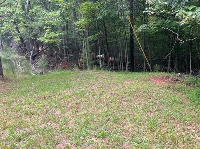 Villa Dr Lot 445, Ellijay, GA 30540