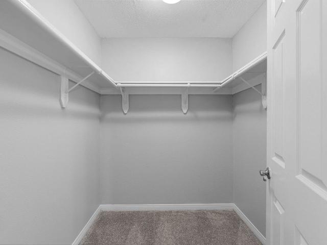 Villa Serrano Apartment Homes 1 Bedroom Apartment for Rent at 201 S Magnolia Ave, Anaheim, CA 92804