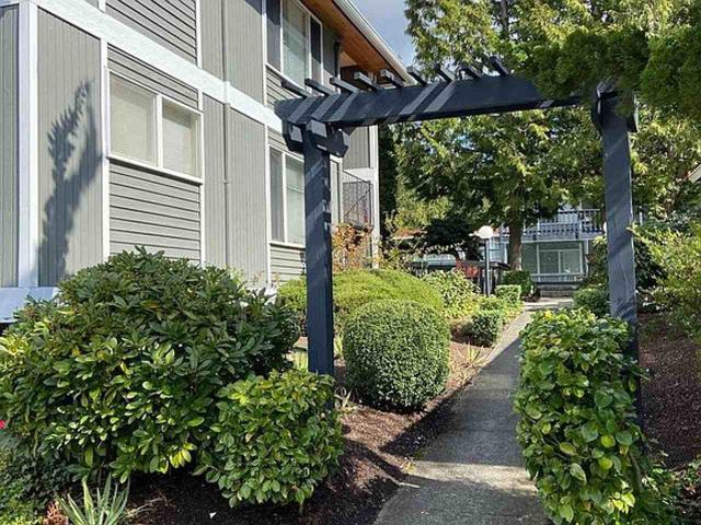 Village Gardens Studio Apartment for Rent at 550 102nd Ave Se, Bellevue, WA 98004