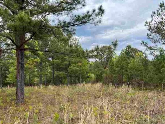 Village Loop, Blairsville, GA 30512