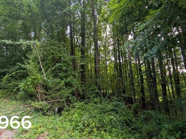 Village Loop Lot 8, Abingdon, VA 24210
