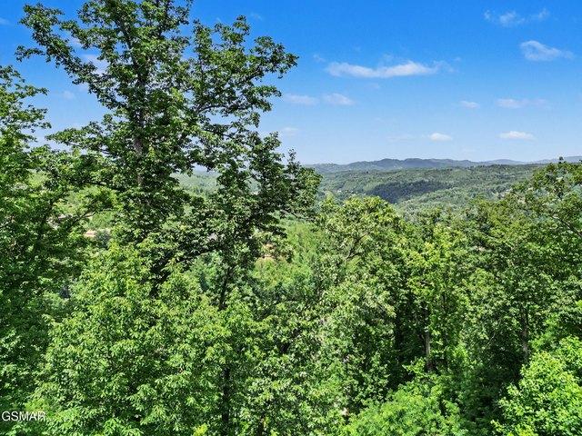 Village Loop Rd Lot 571, Gatlinburg, TN 37738