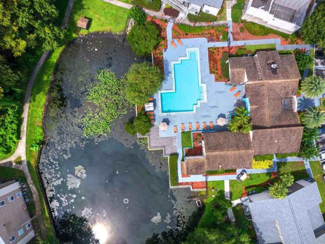 Village Springs 1 Bedroom Apartment for Rent at 5175 Cinderlane Pkwy, Orlando, FL 32808 Rosemont