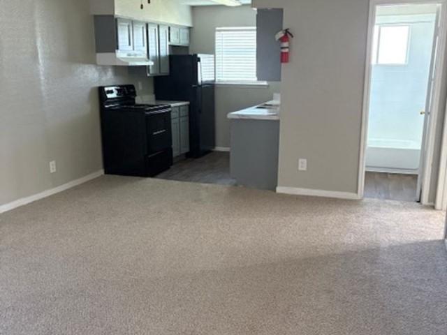 Villas On The Green Apartments 4 Bedroom Apartment for Rent at 9603 Homestead Rd, Houston, TX 77016 East Little York