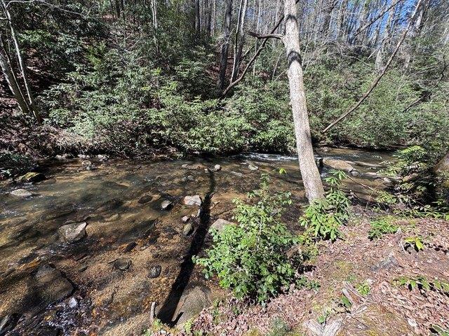 Virginia Ln Lot 1, Murphy, NC 28906