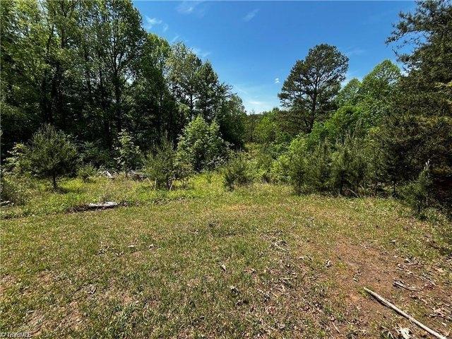 Virgilina Cir, Cana, VA 24317