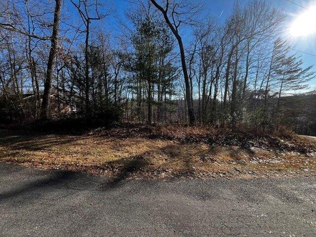 Virgilina Cir Lots And A, Cana, Plot For Sale