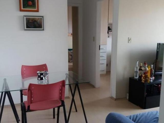 Vista total para a Mata