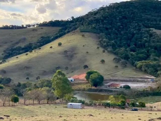 Vista Alegre