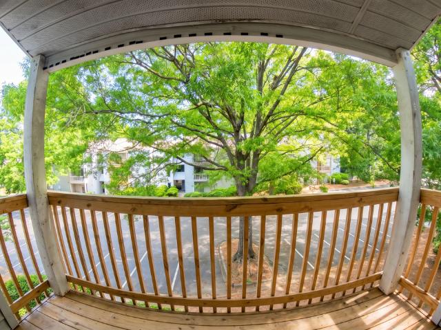 Vista Commons 2 Bedroom Apartment for Rent at 2728 Commonwealth Avenue, Charlotte, NC 28205 Briarcreek Woodland
