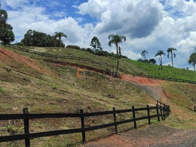 Vista incrível e natureza a 5 min do City Center por R$450 mil!