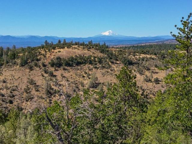 Vista La Vega, Shingletown, CA 96088