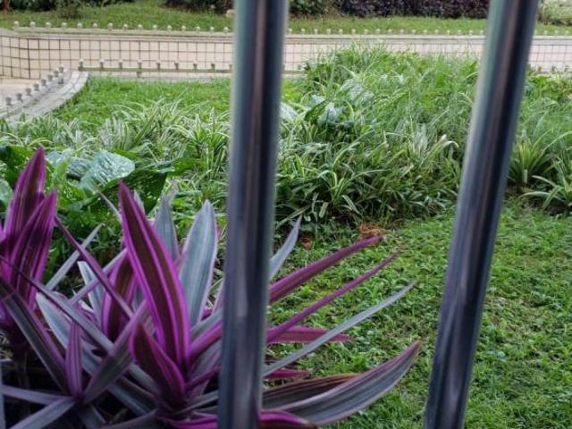 Vista Maravilhosa Beira Mar ! Apartamento 2 Quartos, 1 Suíte em Santos/SP