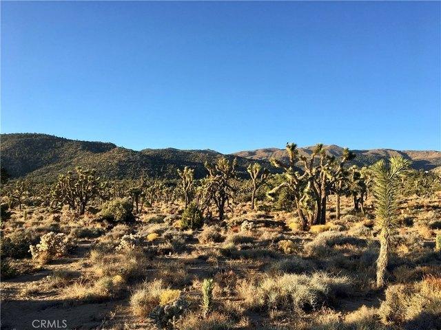 Vista Rd, Lucerne Valley, CA 92356