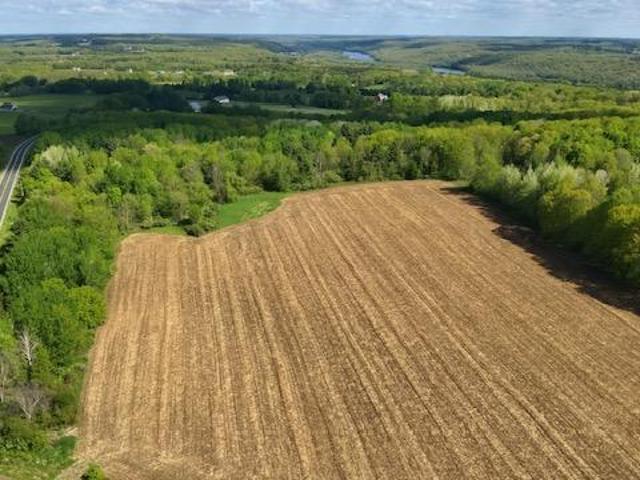 Vista Road