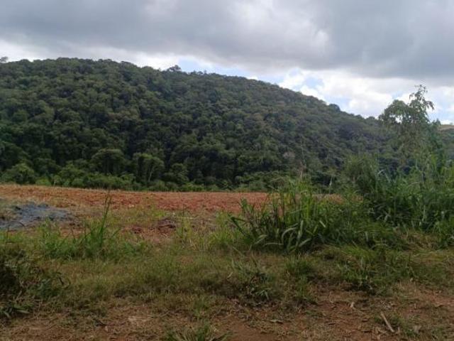 Viva o Melhor do Interior – Terreno em Ibiúna
