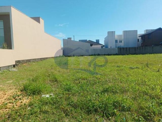 Viva a Conexão com a Natureza: Morada das Palmeiras em Torres