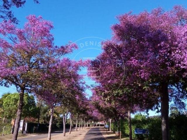Viva a tranquilidade e o contato com a natureza no Condomínio Alto da Boa Vista!