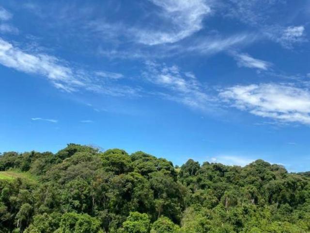 Viva cercado pela natureza em Ibiúna