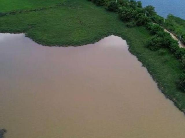Viva Cercado pela Natureza: Lotes de 1.000m² em Mairinque