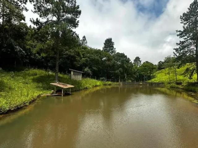 Viva rodeado por natureza e tranquilidade – Ibiúna SP