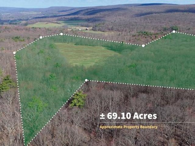 Vivian Ln, Catawissa, Plot For Sale