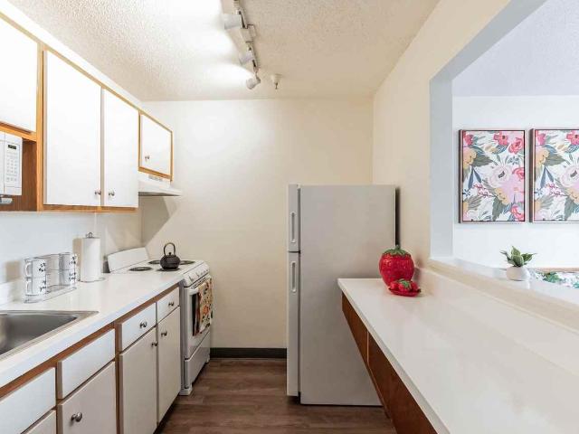 Vivo Living Charlotte University Studio Apartment for Rent at 123 Mccullough Dr, Charlotte, NC 28262 University City South