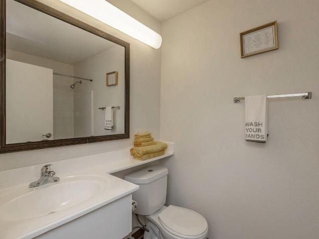 Vivo Living Forest Hills Studio Apartment for Rent at 4515 Apex Hwy, Durham, NC 27713