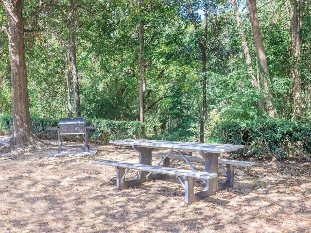 Vivo Living Ivy Creek 2 Bedroom Apartment for Rent at 1920 Ivy Creek Blvd, Durham, NC 27707