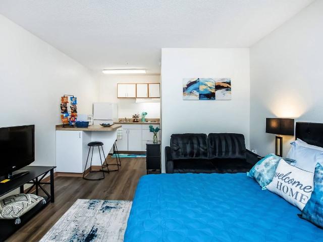 Vivo Living North Woods 2 Bedroom Apartment for Rent at 3531 Wake Forest Rd, Raleigh, NC 27609